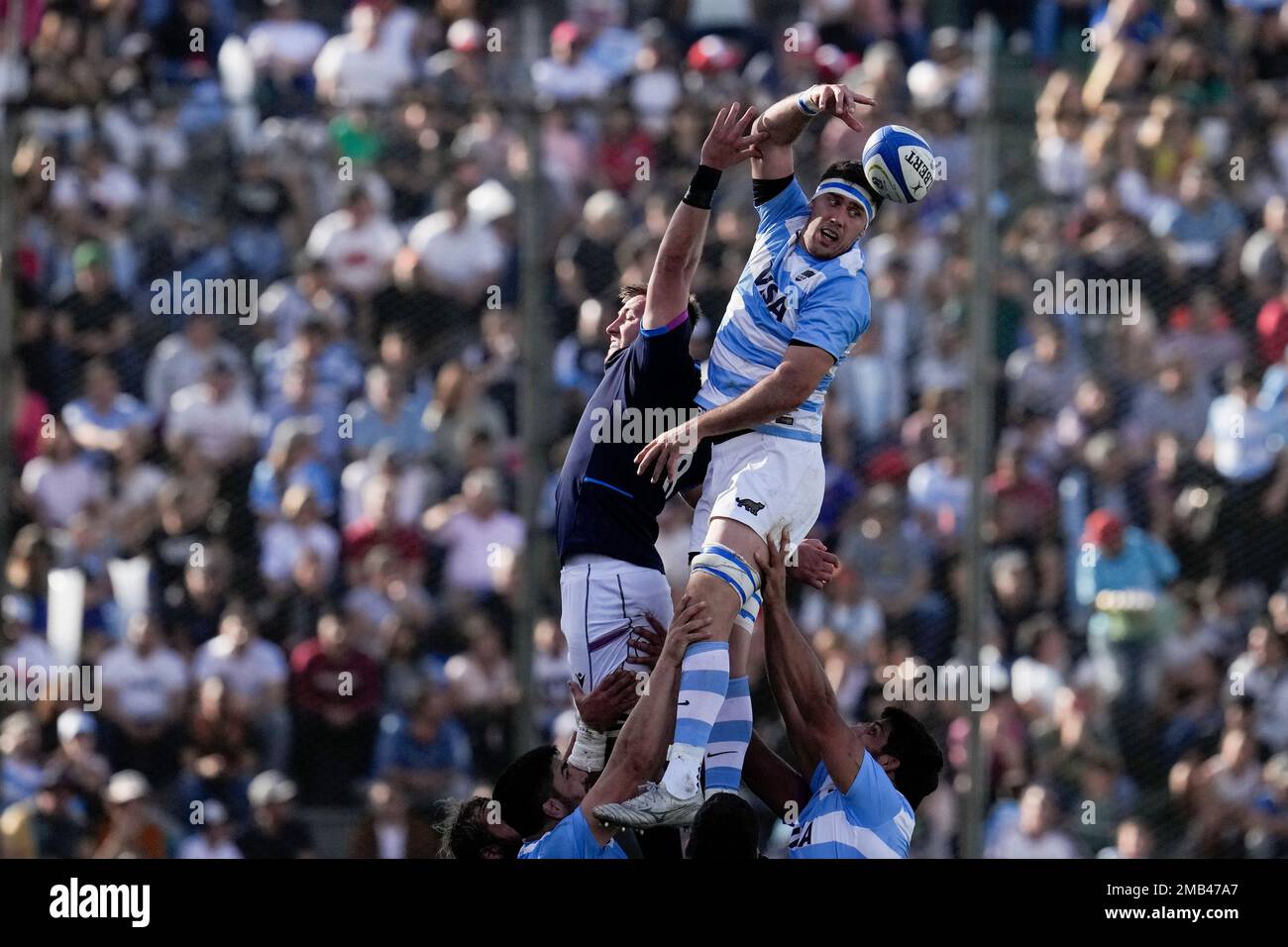 Argentina's Los Pumas Matías Alemanno, right, and Scotland's Matt ...