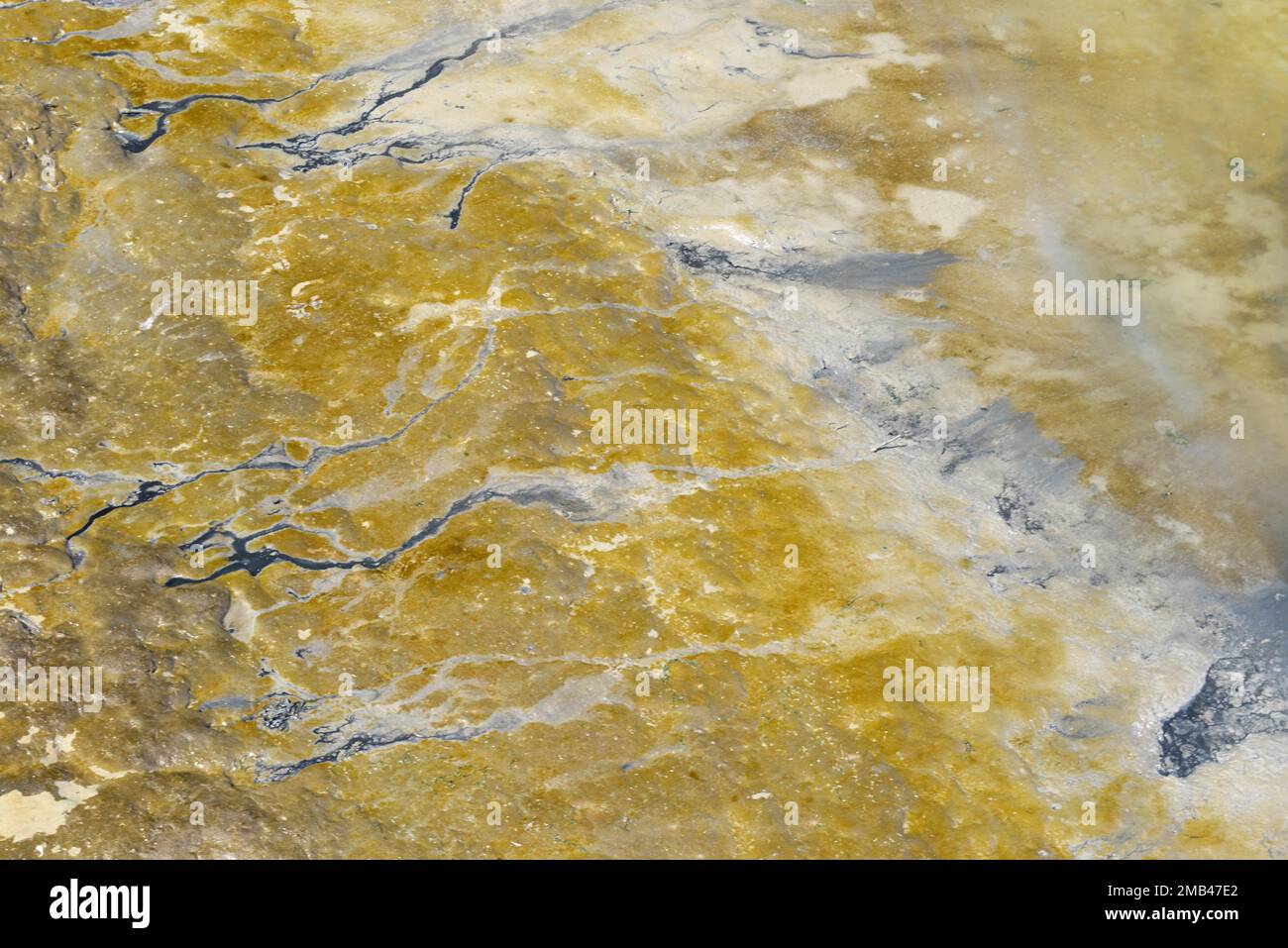 Silt sediment on the Wadden Sea, Schleswig-Holstein, Germany Stock ...