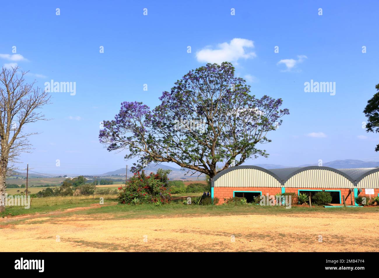 landscape scene in Swaziland kingdom of Eswatini Stock Photo - Alamy