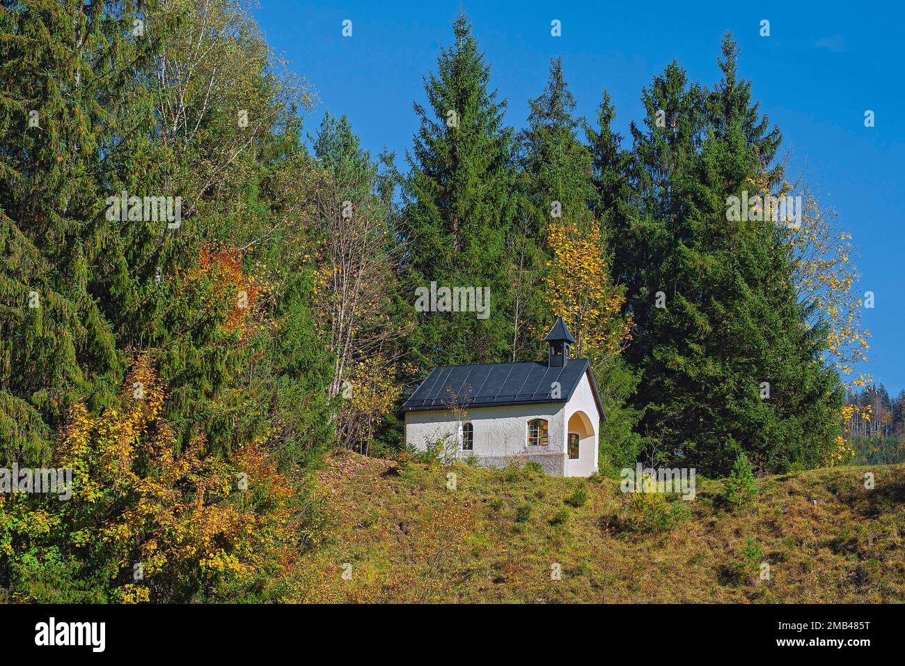 Forest chapel hi-res stock photography and images - Alamy