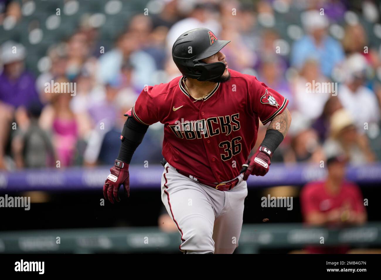 Arizona Diamondbacks catcher Jose Herrera (36) during the second inning ...