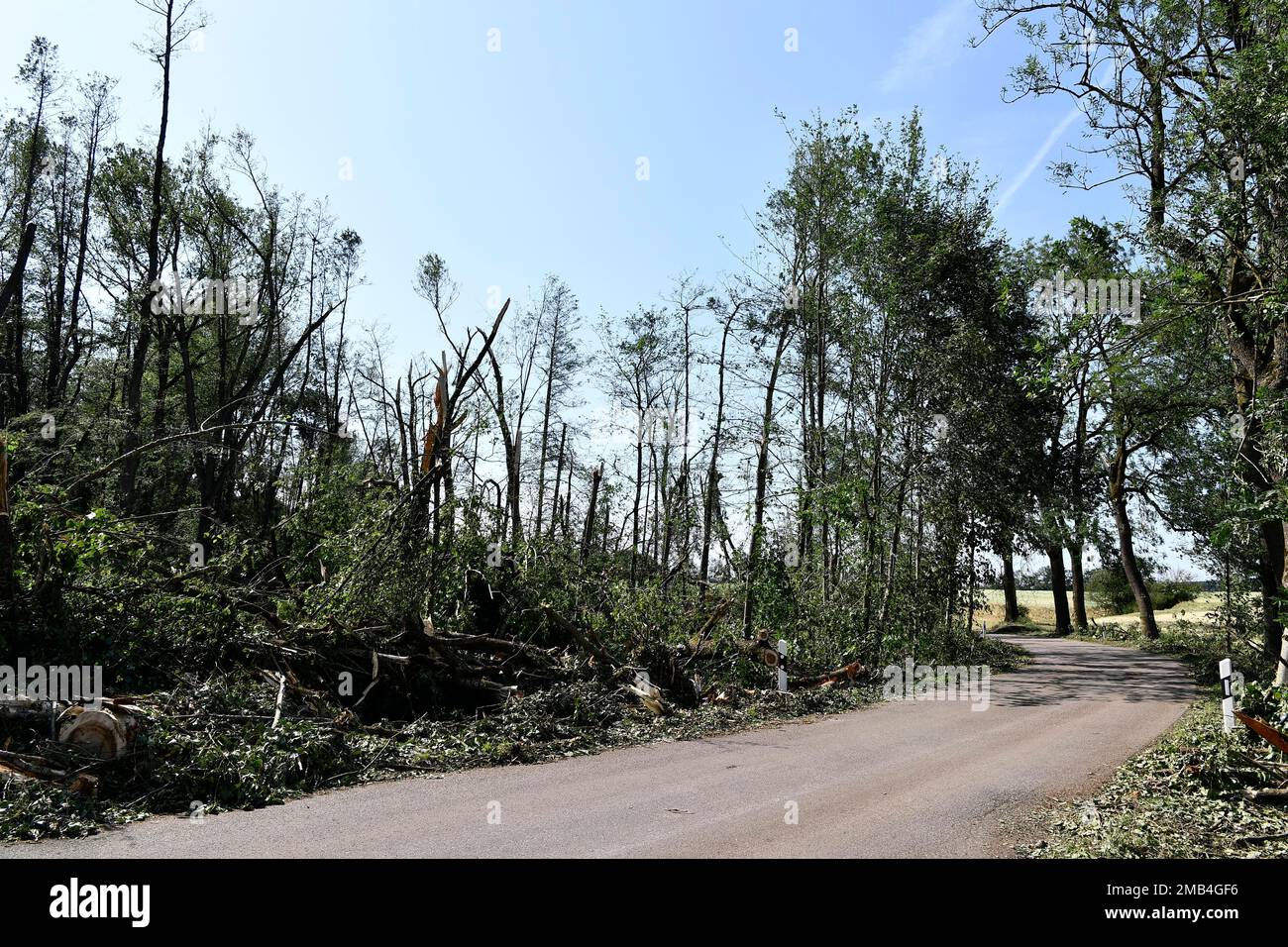 Storm damage, fallen trees, uprooted trees, fallen branches, wind ...