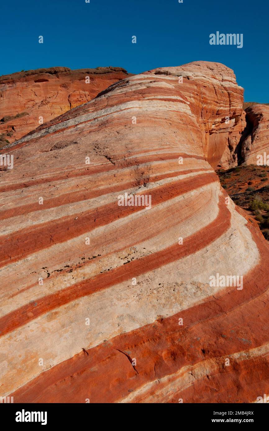 Fire Wave rock formation in the evening light, Valley of Fire State ...