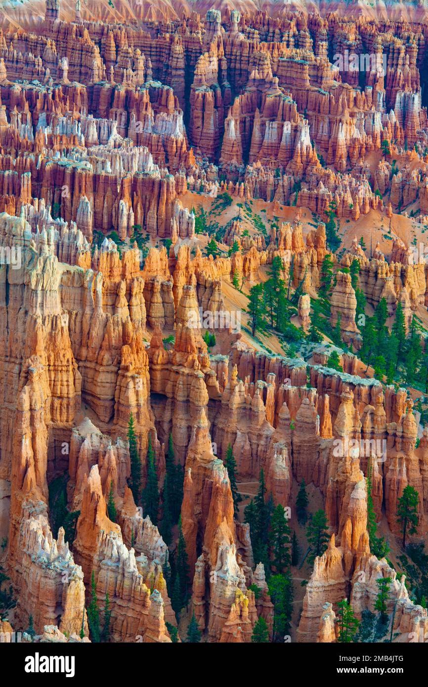 Rock formations and hoodoos, Bryce Canyon at sunrise, Bryce Point, Utah ...