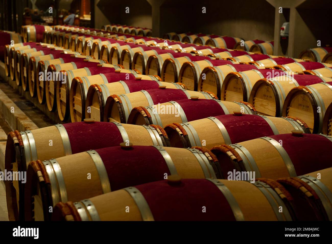 French oak barriques in the aging cellar of Robert Mondavi Winery, Napa ...