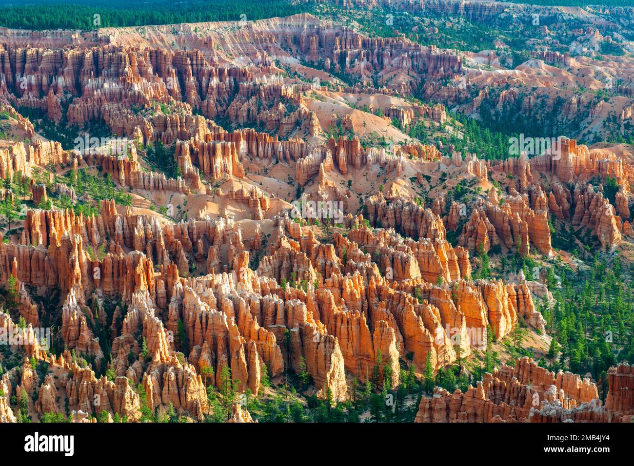 Rock formations and hoodoos, Bryce Canyon at sunrise, Bryce Point, Utah ...