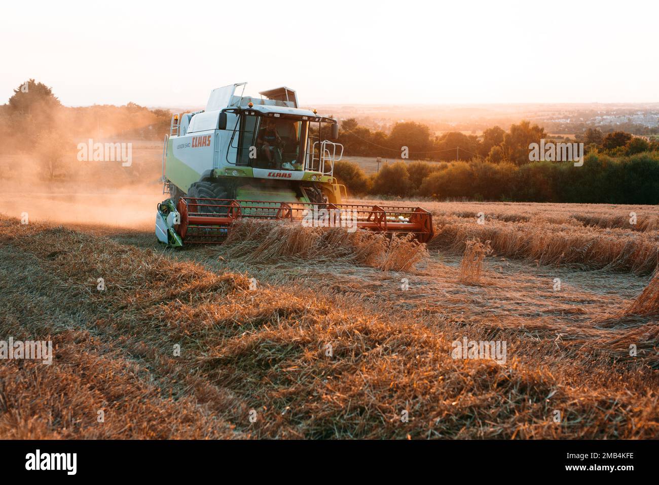 Claas Combine 540 Lexion Wheat Harvest Evening Light Stock Photo - Alamy