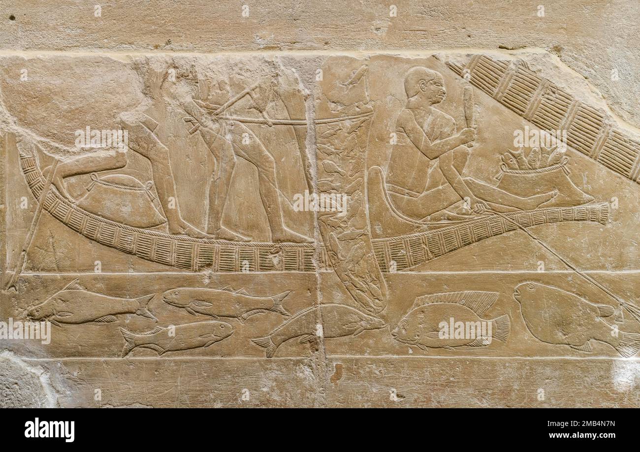 Fish in the nile hi-res stock photography and images - Alamy