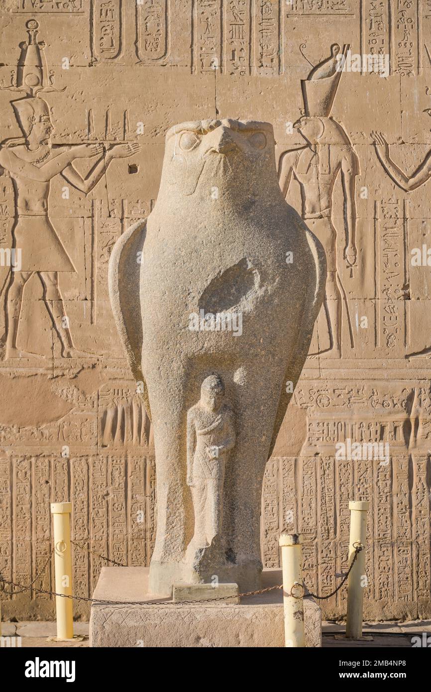 Statue of the god Horus in the form of a falcon, statue of Hor-Behdeti ...