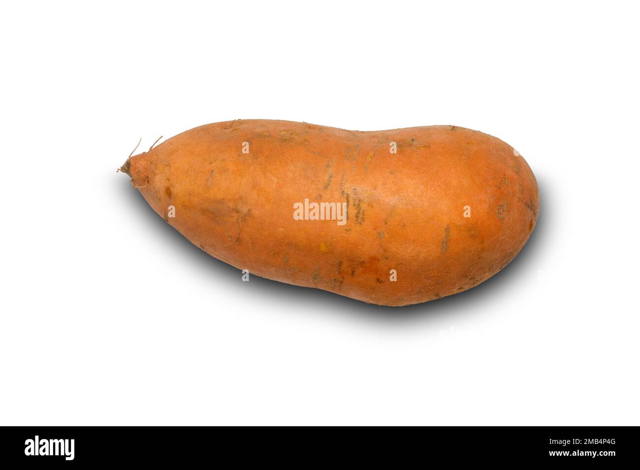 Sweet potato harvesting hi-res stock photography and images - Alamy