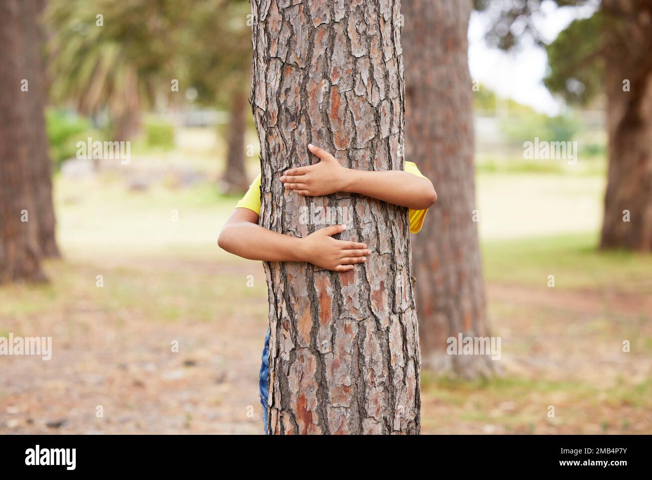 Earth day, sustainability and child with a tree hug for eco friendly ...