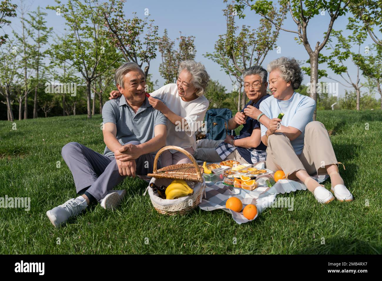 Elderly couple spring outing for a picnic Stock Photo - Alamy