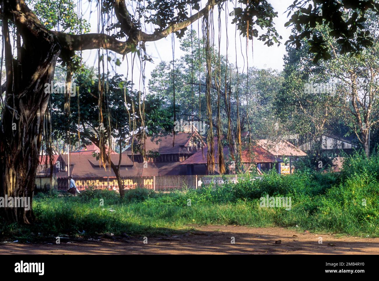 Kali Bhagavathy temple in Kodungallur, Kerala, India, Asia. Goddess ...