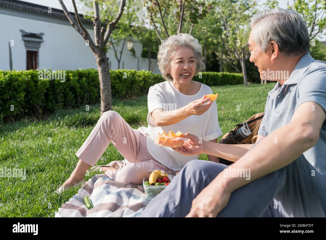 Elderly couple spring outing for a picnic Stock Photo - Alamy
