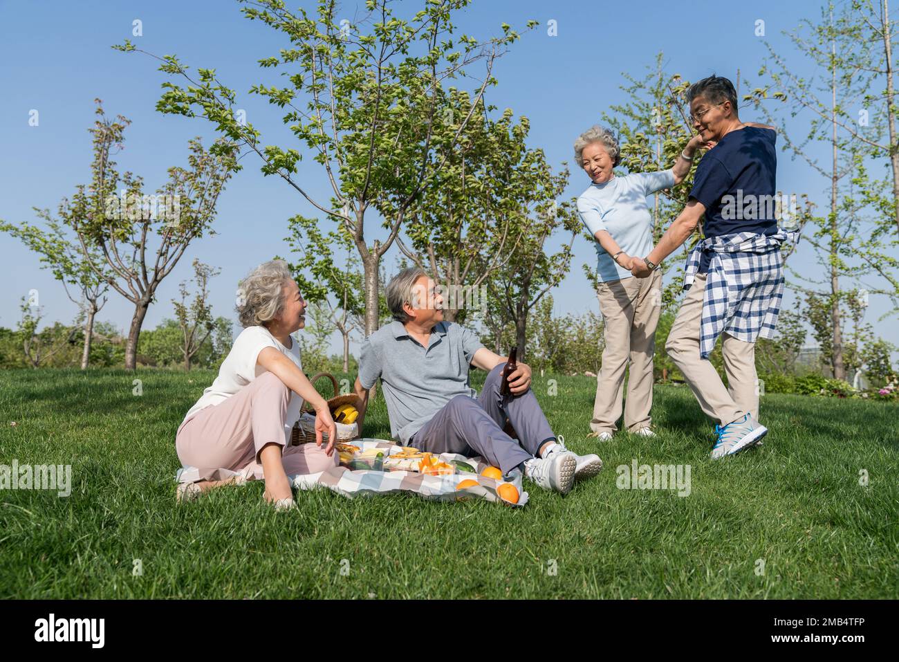 Elderly couple spring outing for a picnic Stock Photo - Alamy