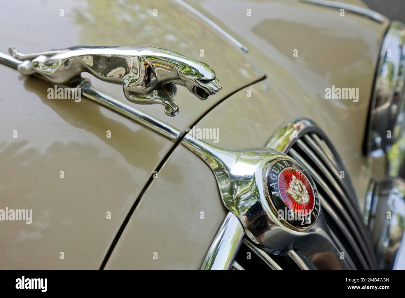 Radiator mascot of the Jaguar Mk 2, 2. 4 Litre 1964, Classic Days ...