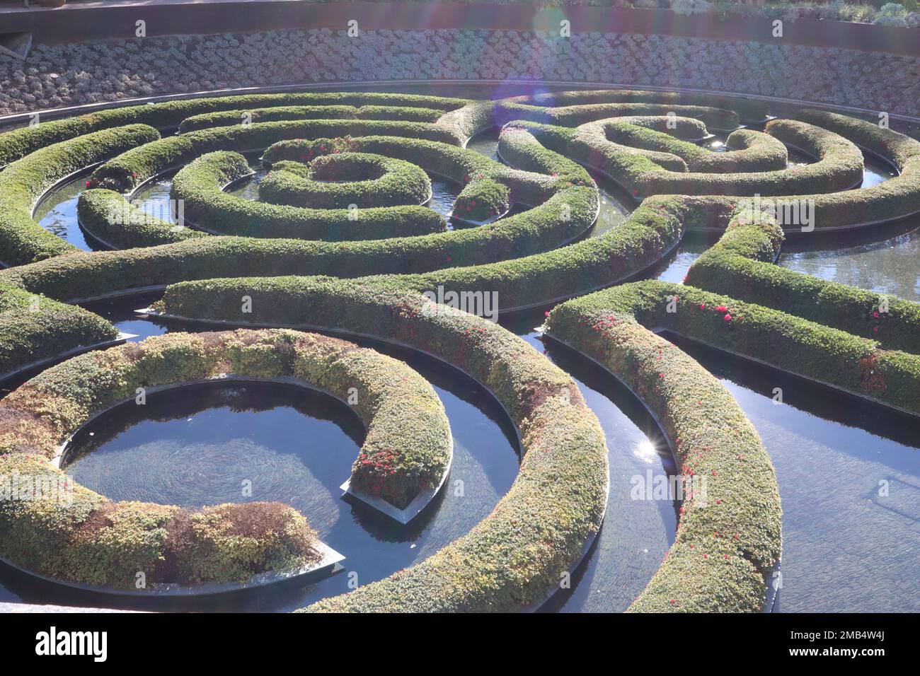A closeup of beautiful bushes in the artificial lake of Robert Irwin's ...
