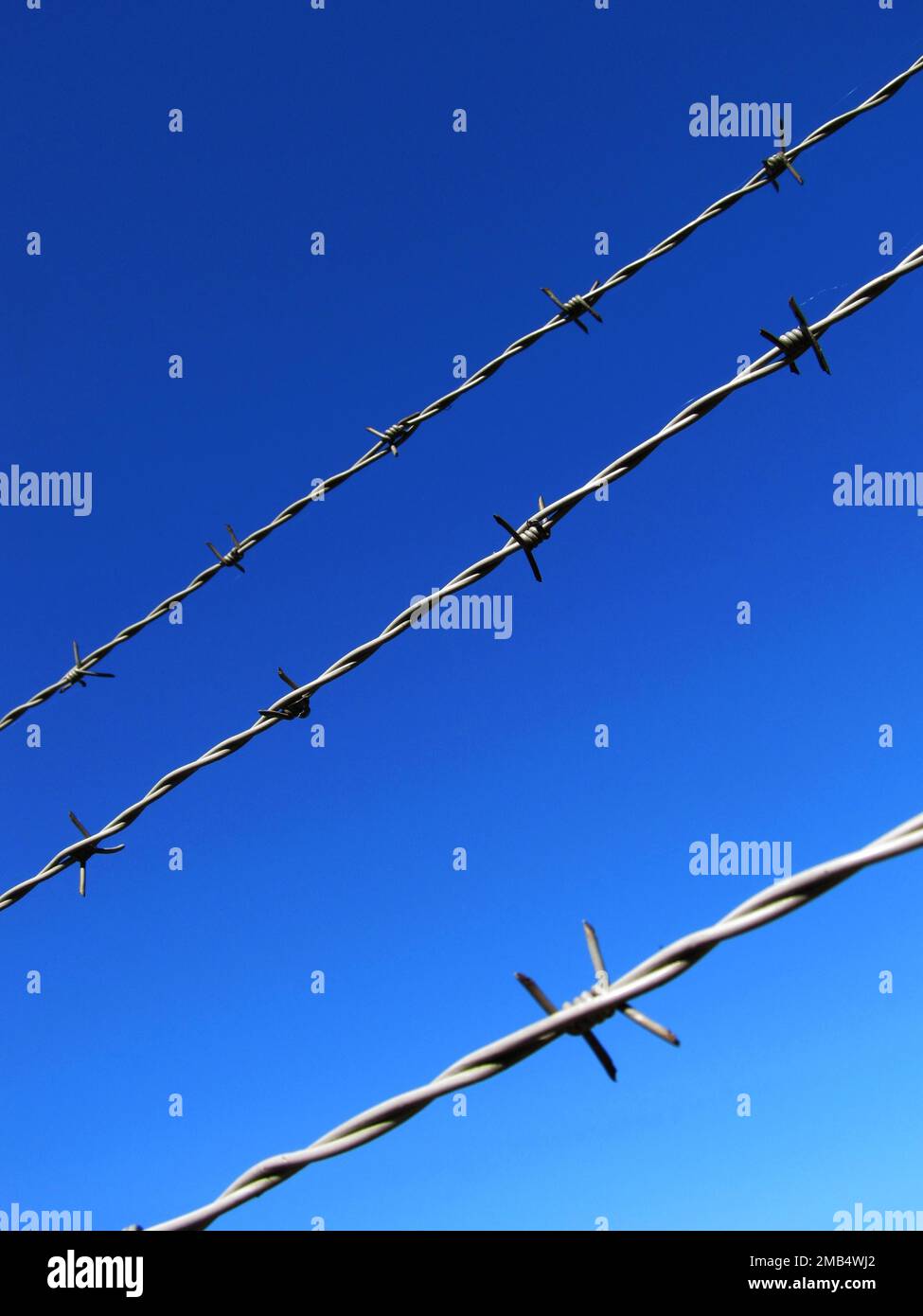 Barbed wire against a blue sky Stock Photo - Alamy
