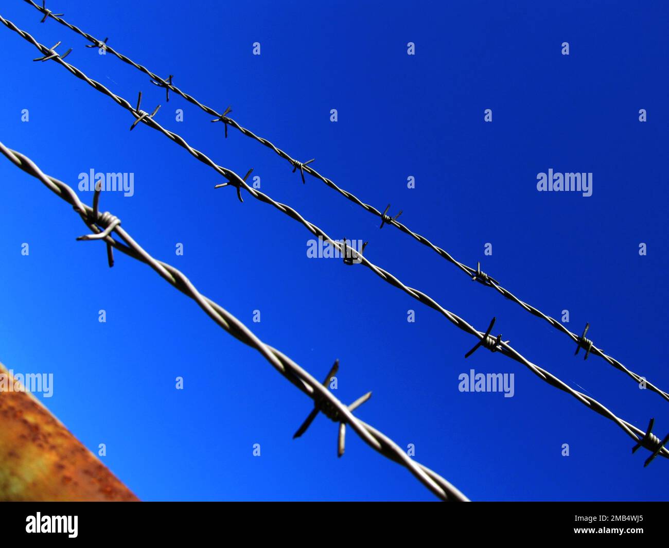 Interwoven wire hi-res stock photography and images - Alamy