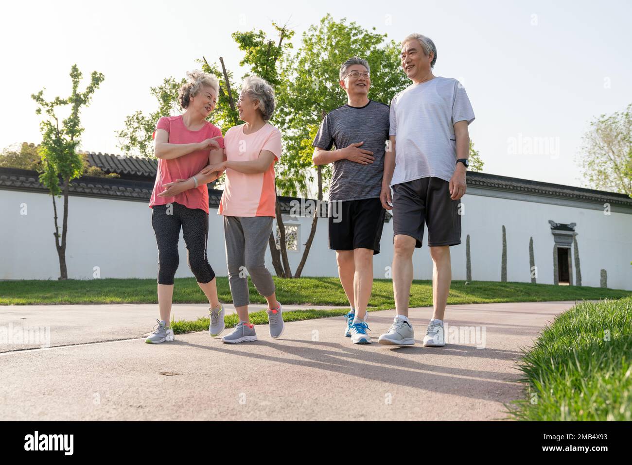 Elderly couples health movement Stock Photo - Alamy