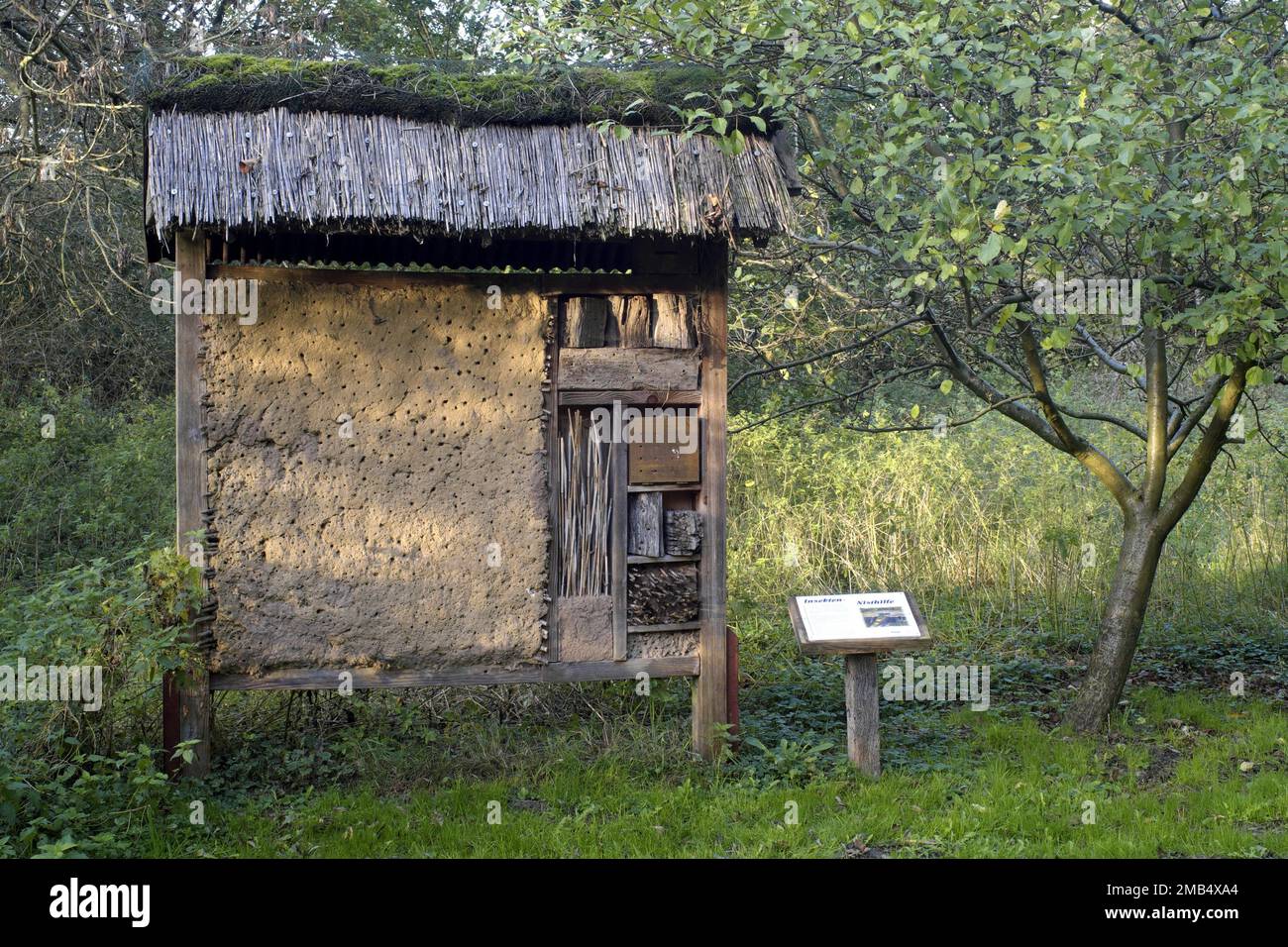 Insect hotel in the Werderland nature reserve, Bremen Lesum, Germany ...