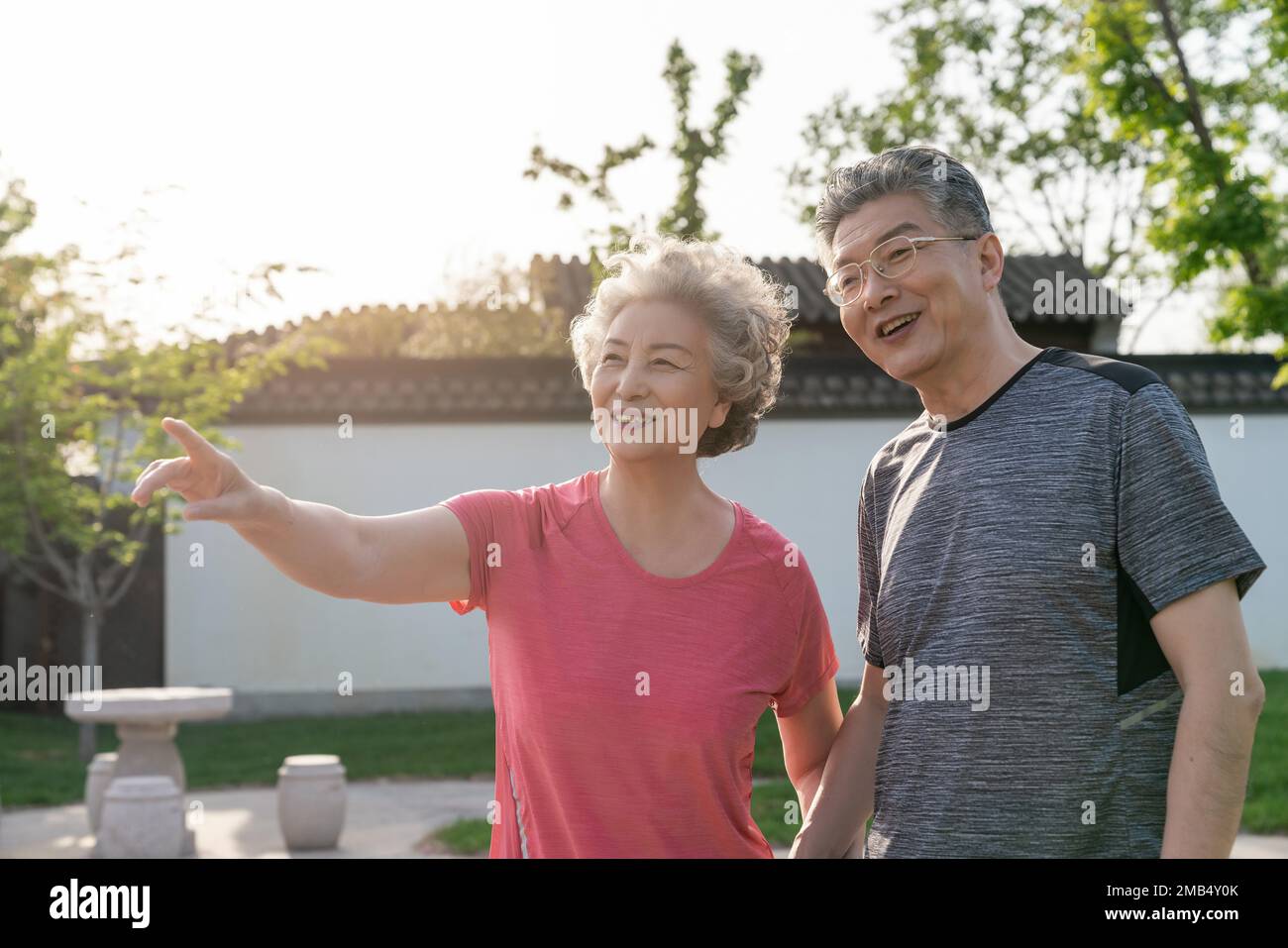 Elderly couples health movement Stock Photo - Alamy