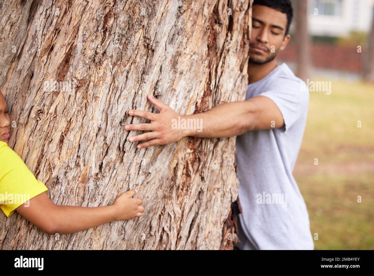Nature, environment or couple hug tree for save the planet ...