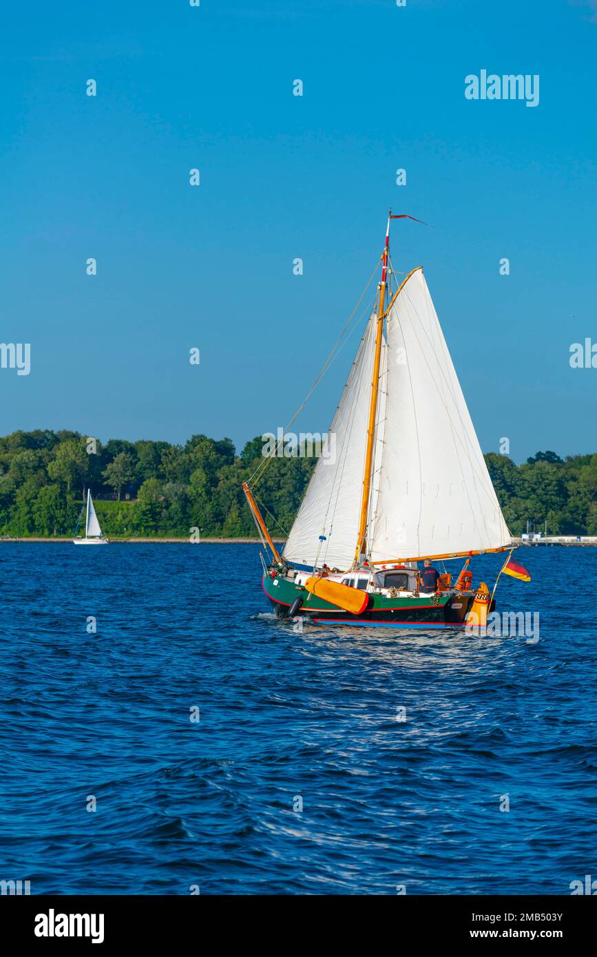 Traditional sailing boat in front of Heikendorf, flag, forest, summer ...