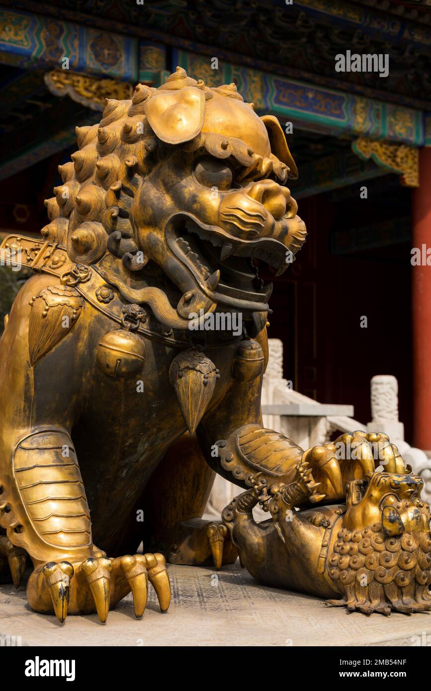 The copper lion Stock Photo - Alamy