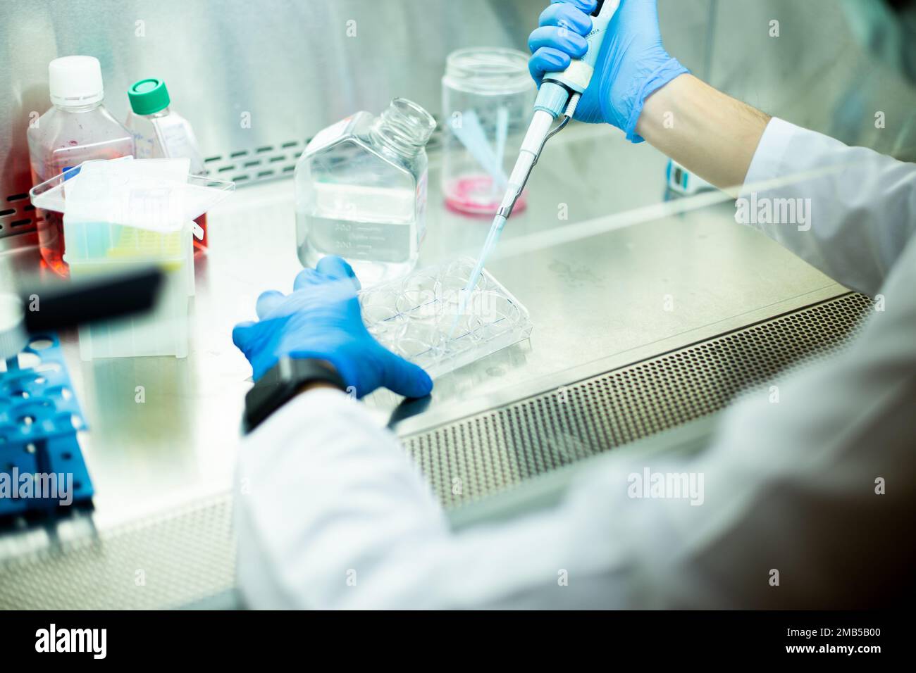 cell culture at the medicine, medical and cell culture laboratory Stock ...