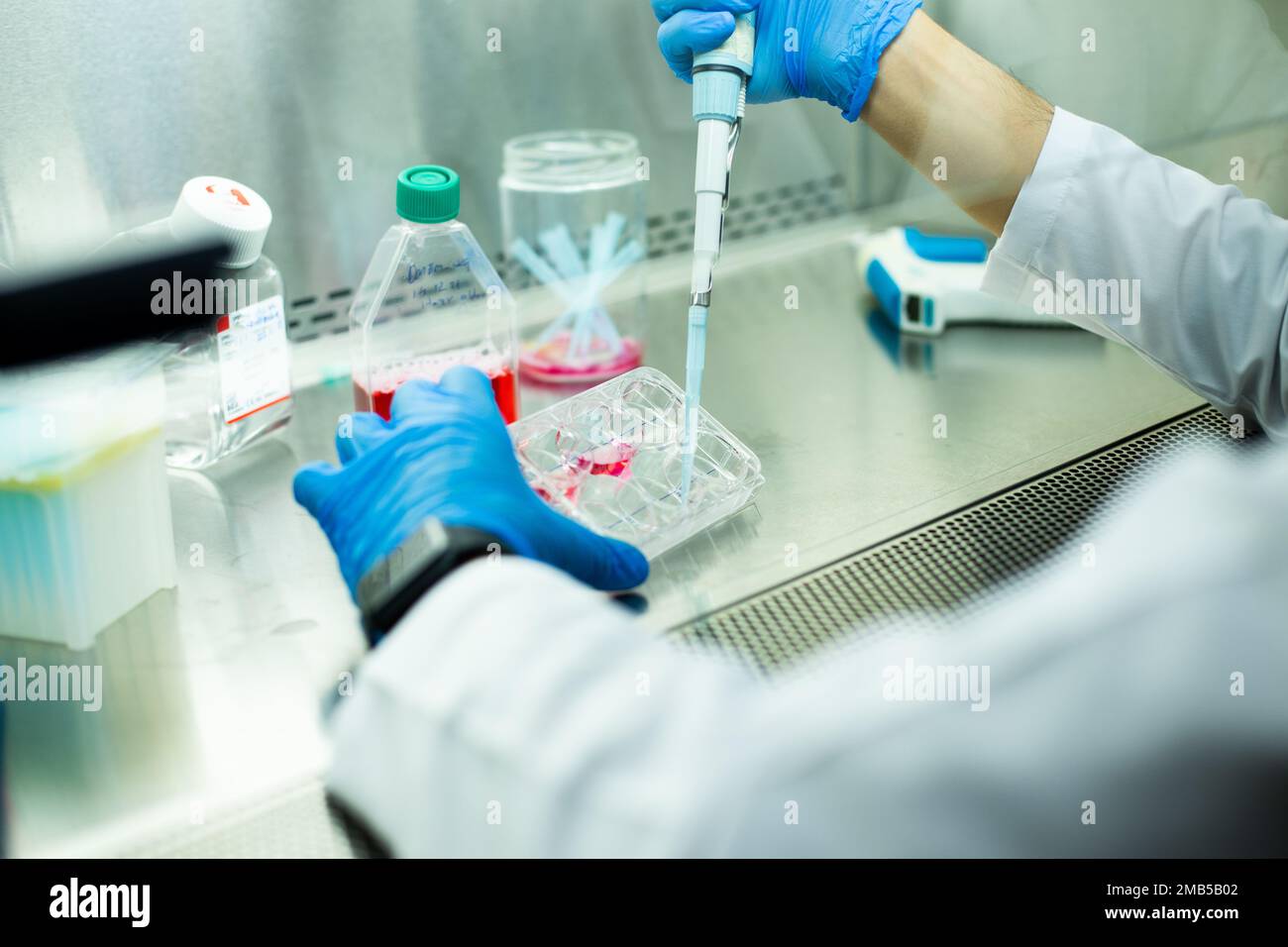 Mammalian cell culture laboratory hi-res stock photography and images ...