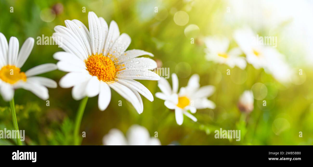 Drop flares hi-res stock photography and images - Alamy