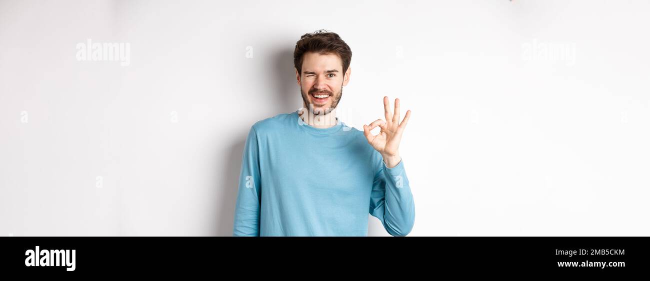Handsome modern guy feeling confident, showing OK sign and winking at ...