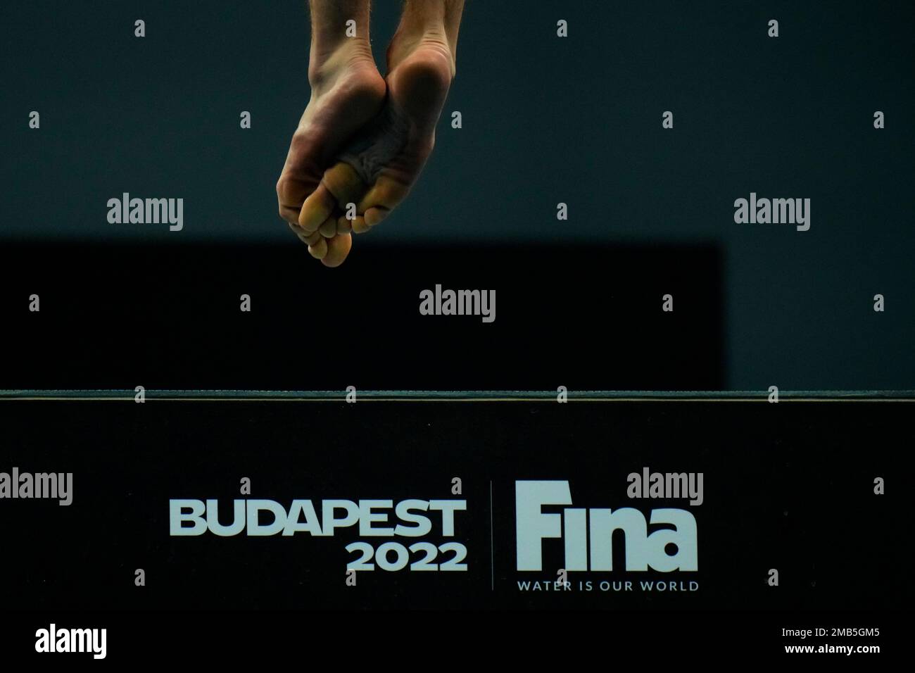 Nathan Zsombor-Murray of Canada competes during the men's diving 10m ...