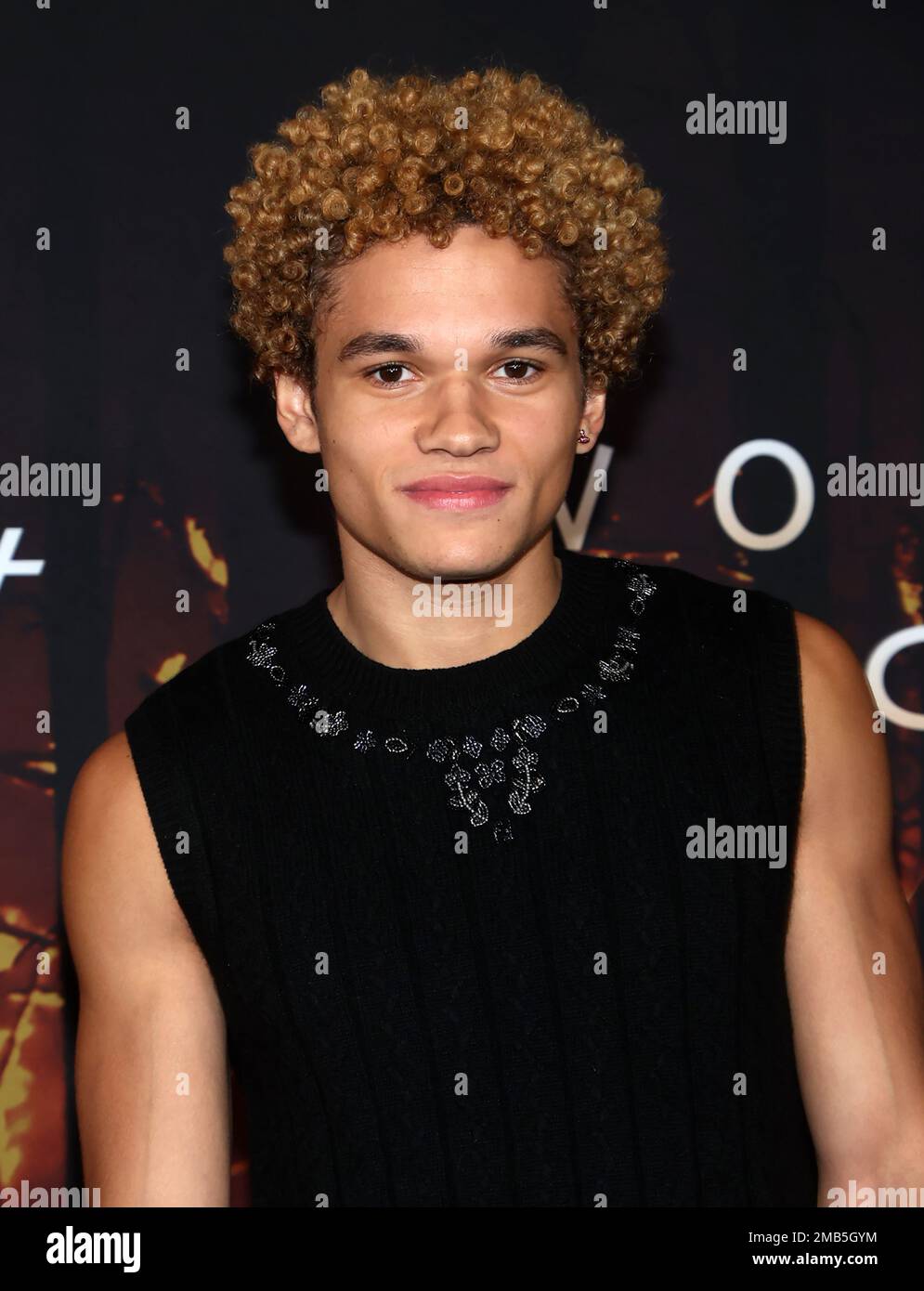 Los Angeles, Ca. 19th Jan, 2023. Armani Jackson at the LA premiere of ...