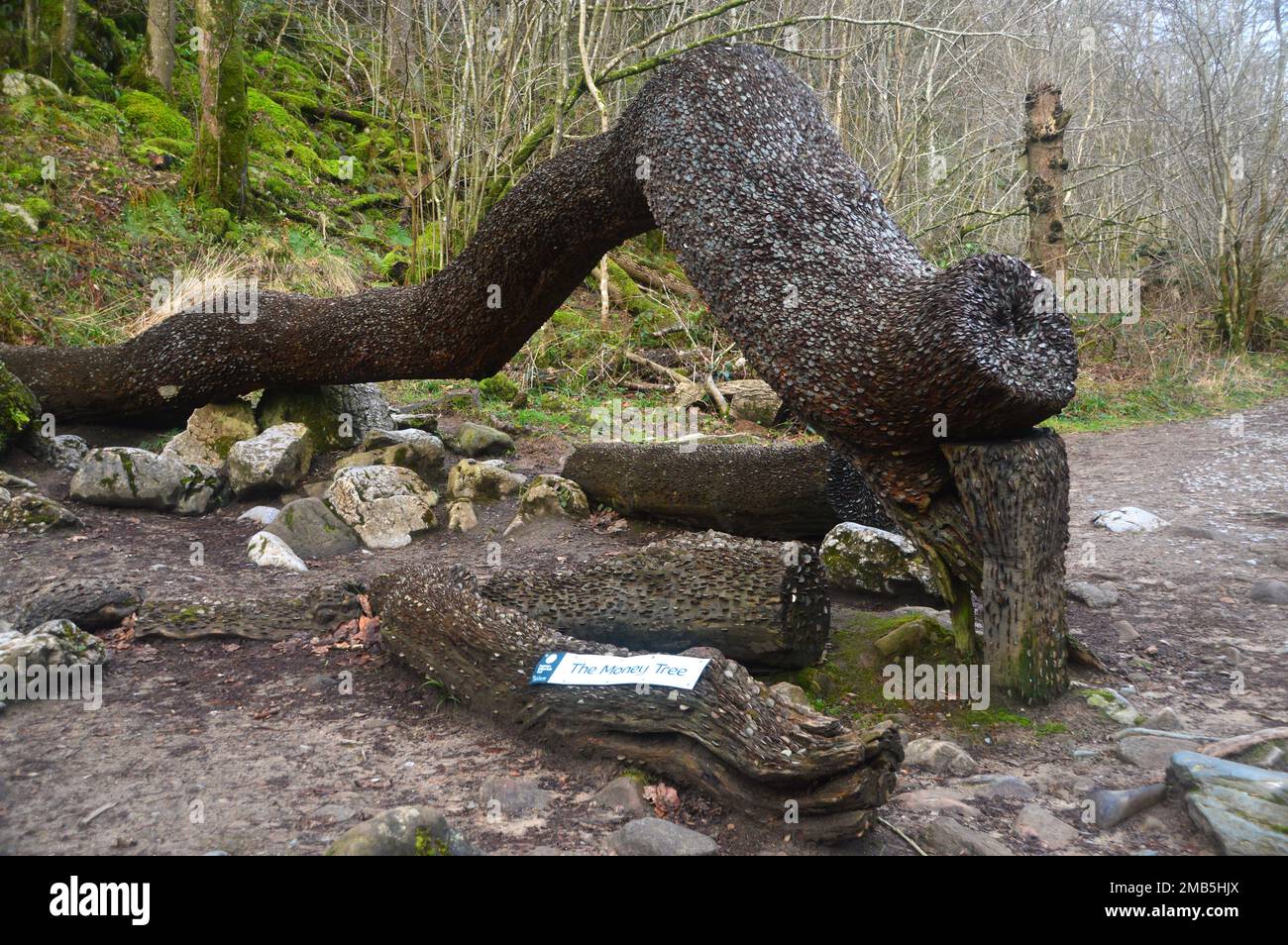 Hammered Coins on the Money Tree on the Ingleton Waterfalls Trail ...