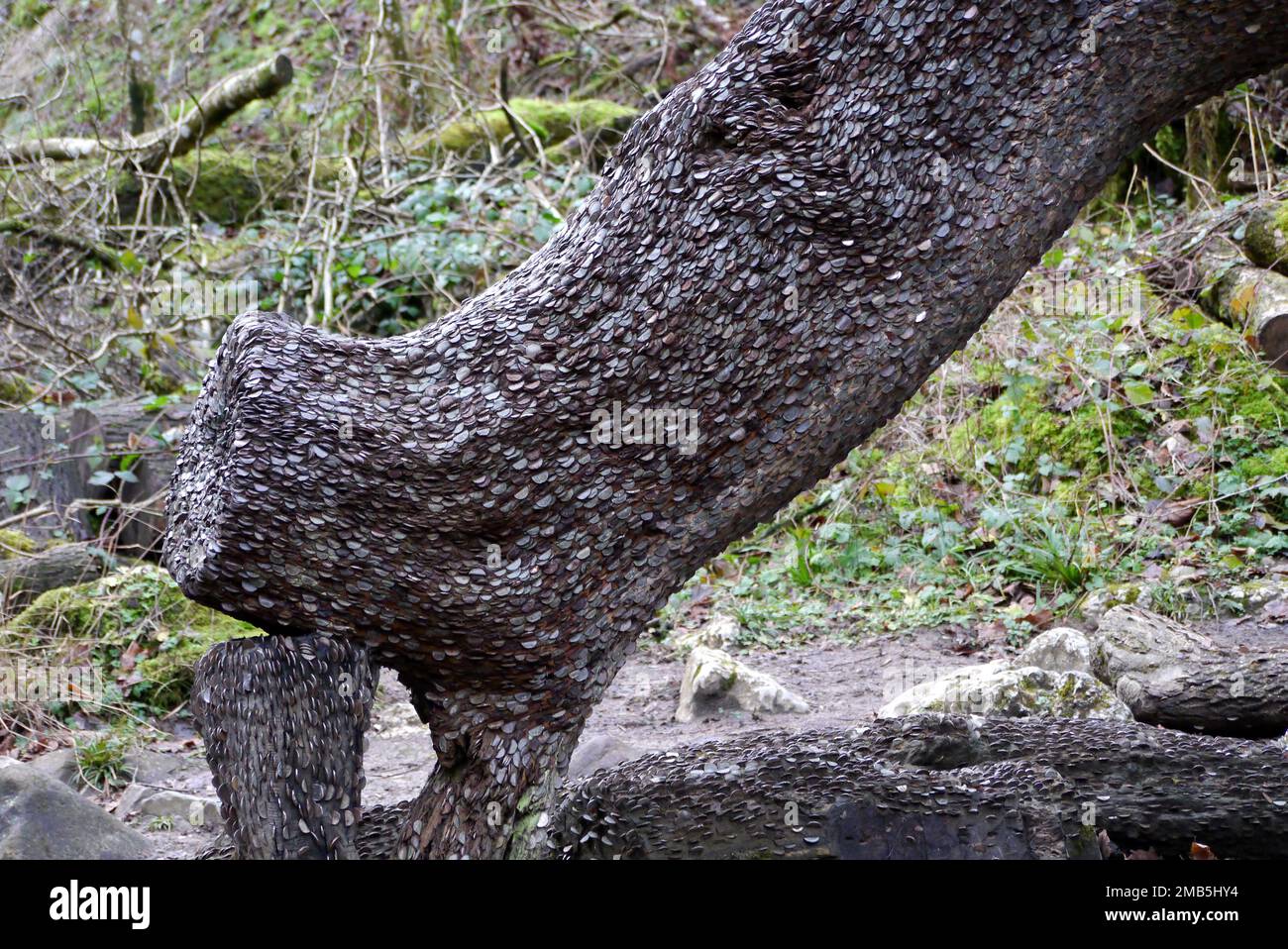 Hammered Coins on the Money Tree on the Ingleton Waterfalls Trail ...