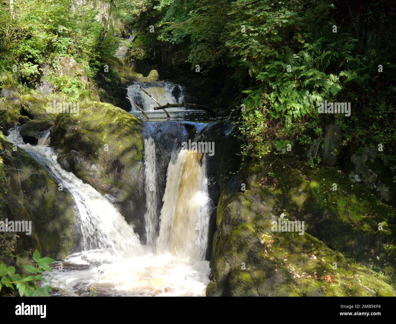 Pecca Falls in the River Twiss on the Ingleton Waterfalls Trail ...