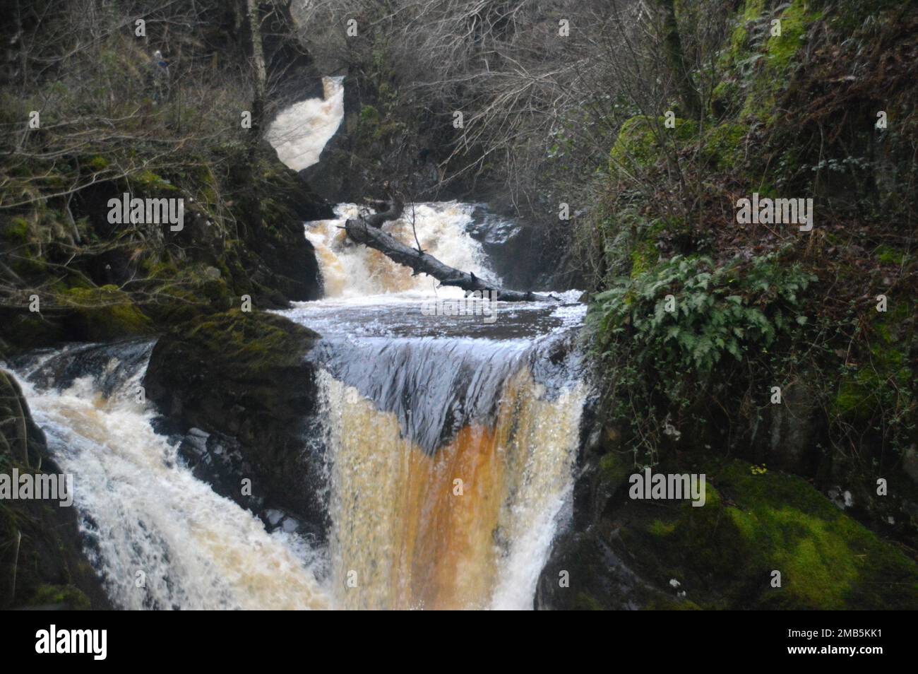 Pecca Falls in the River Twiss on the Ingleton Waterfalls Trail ...