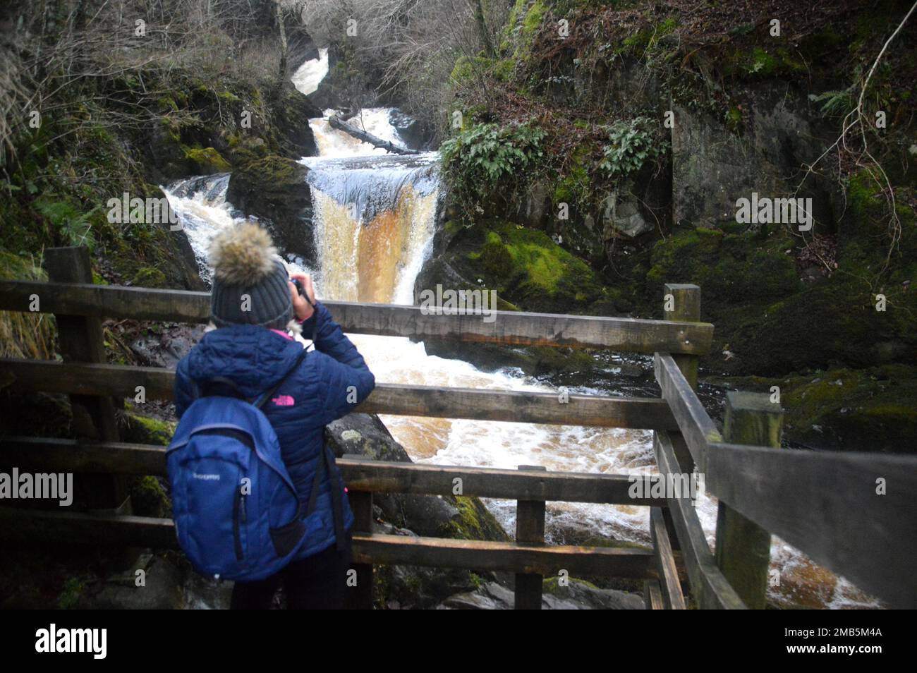 Woman Taking Photos of Pecca Falls in the River Twiss on the Ingleton ...