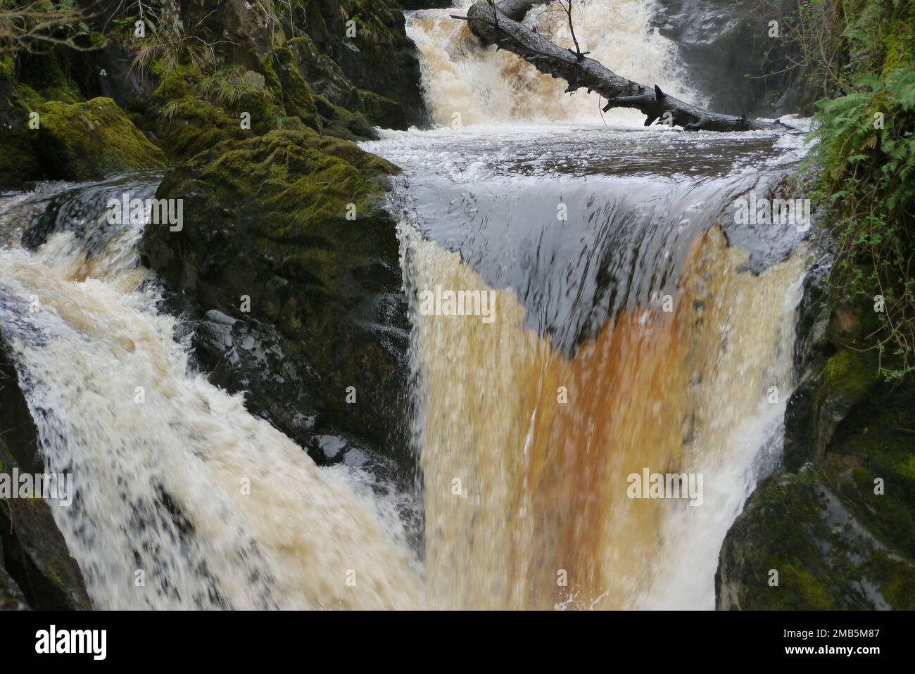 Pecca Falls in the River Twiss on the Ingleton Waterfalls Trail ...