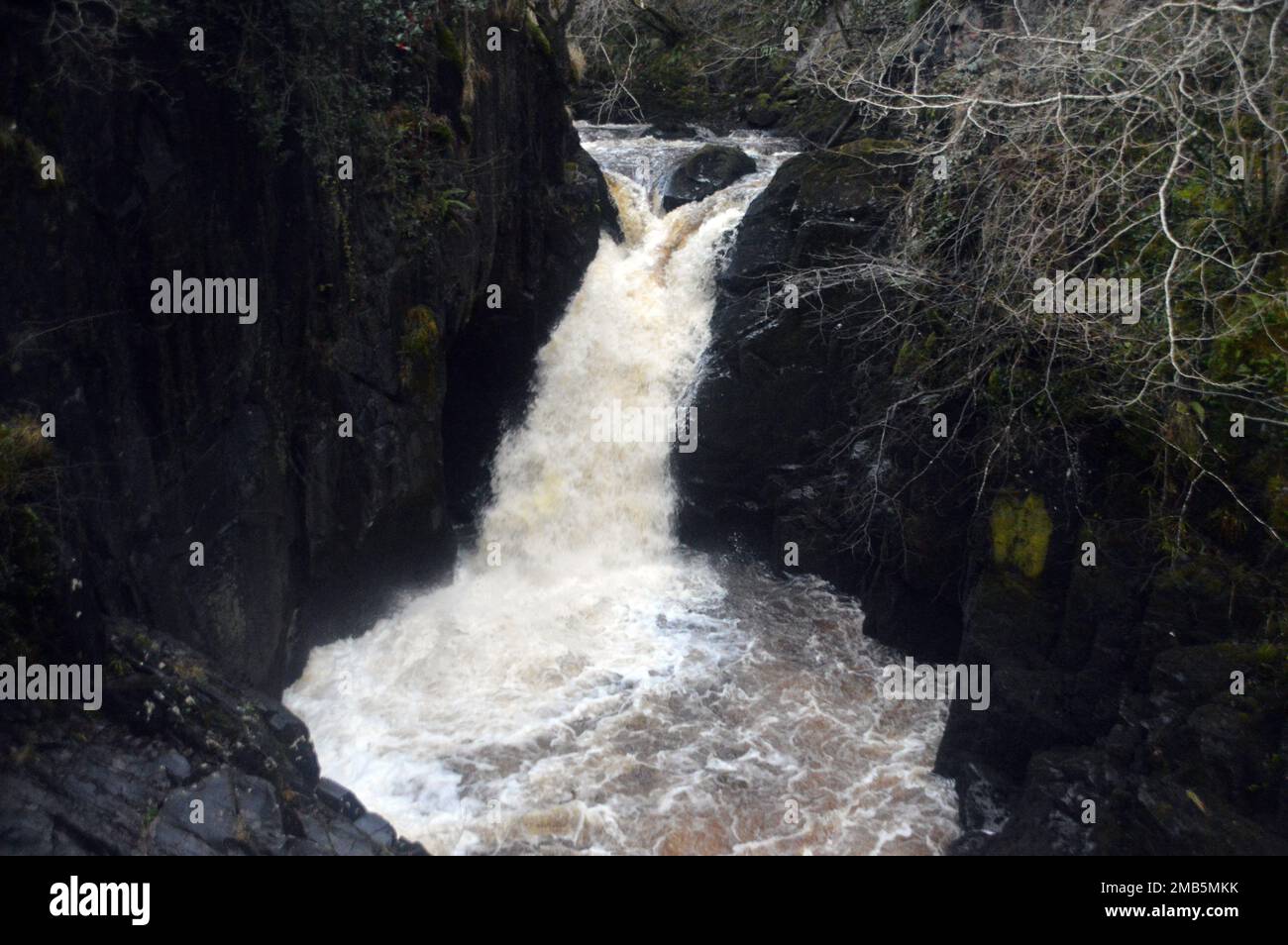 Hollybush Spout Waterfall in the River Twiss on the Ingleton Waterfalls ...