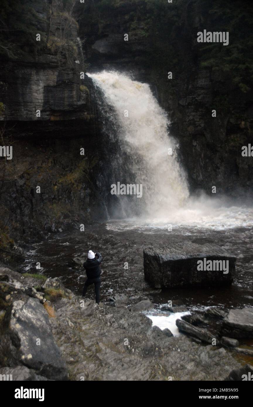Woman Standing/Looking at Thornton Force Waterfall in the River Twiss ...