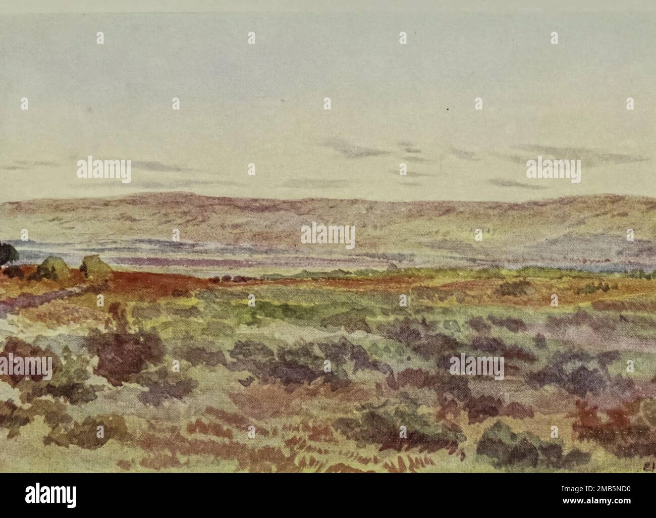 The Plain of the Jordan, looking from “ New Jericho ” towards Mount ...