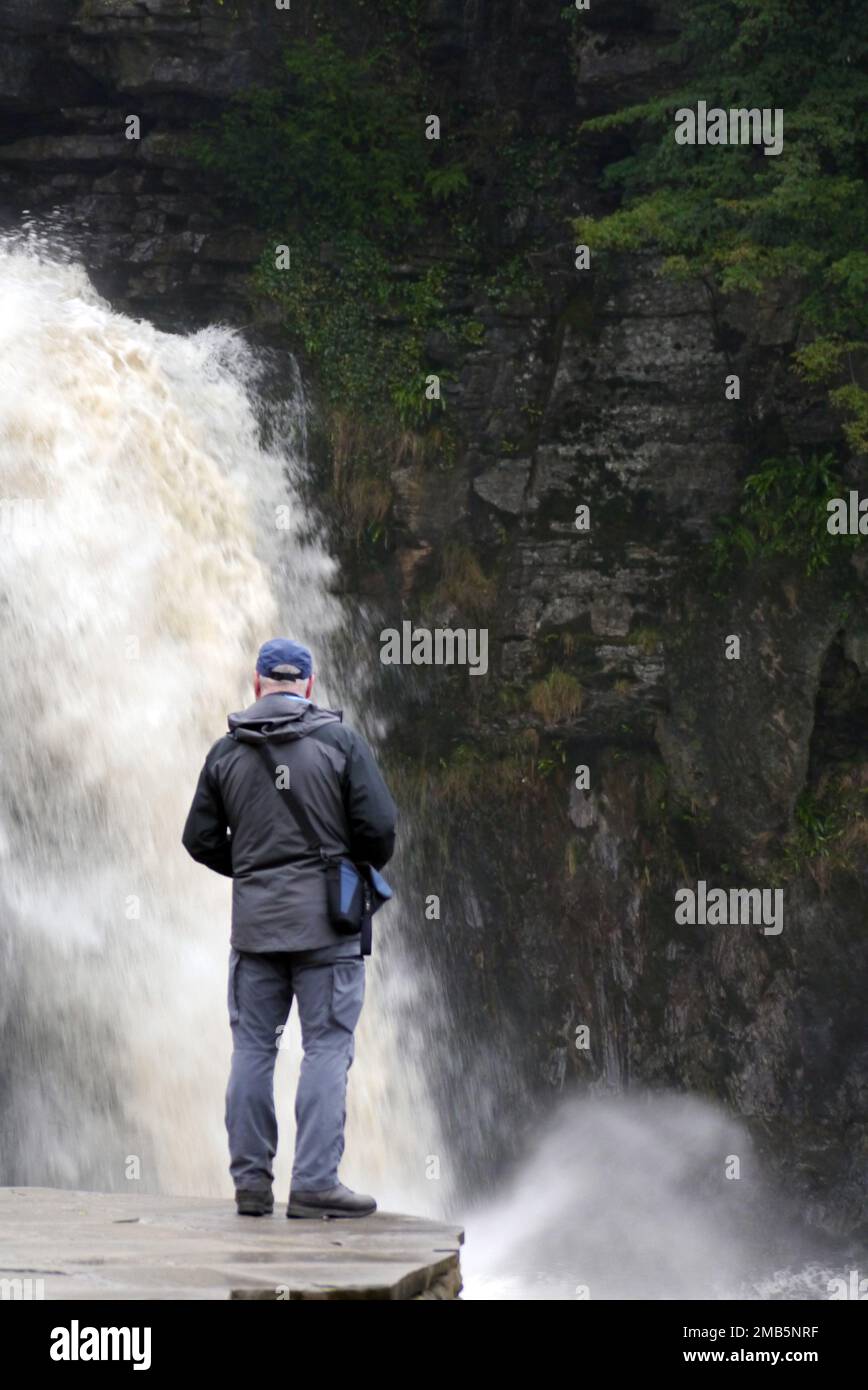 Man Standing/Looking at Thornton Force Waterfall in the River Twiss on ...