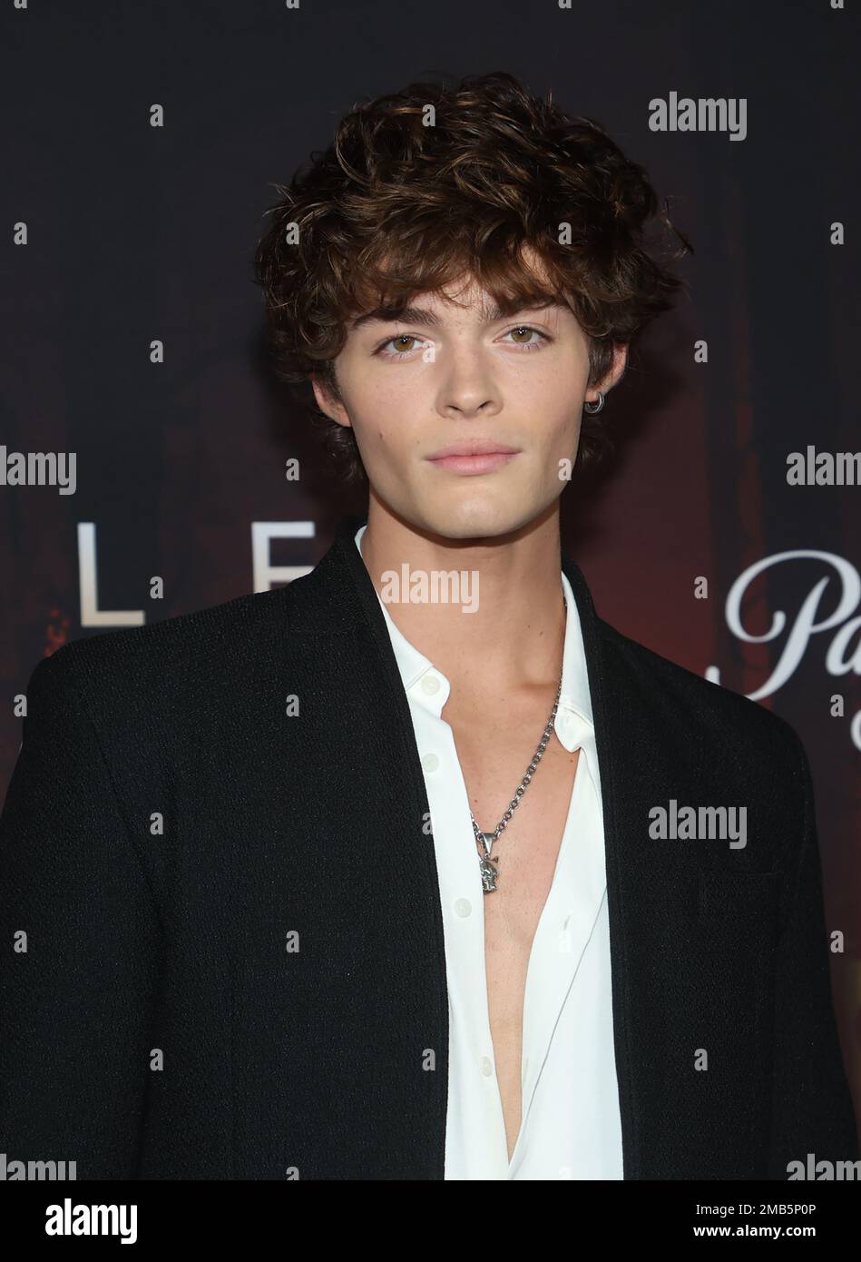 Tyler lawrence gray hi-res stock photography and images - Alamy