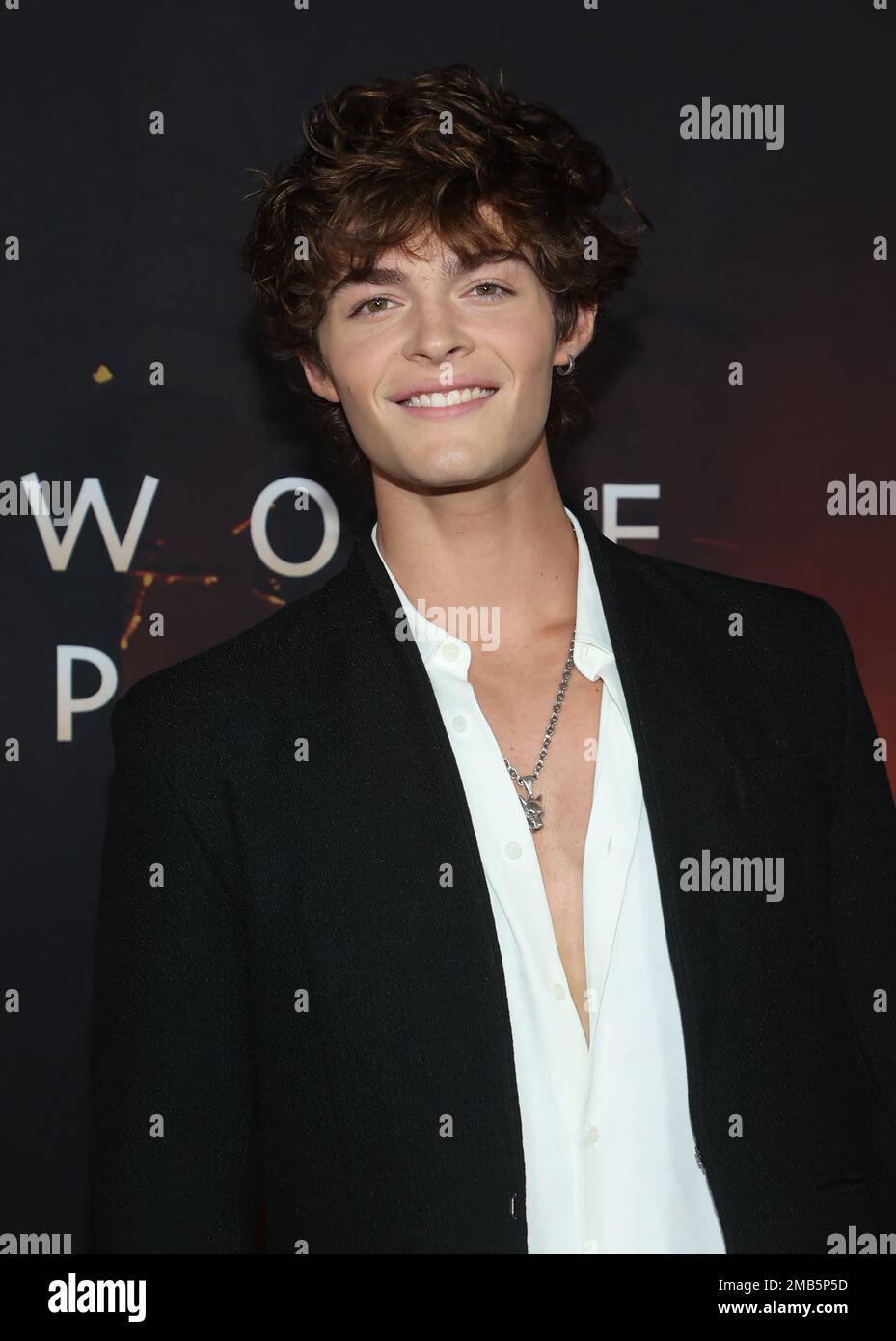 Tyler lawrence gray hi-res stock photography and images - Alamy