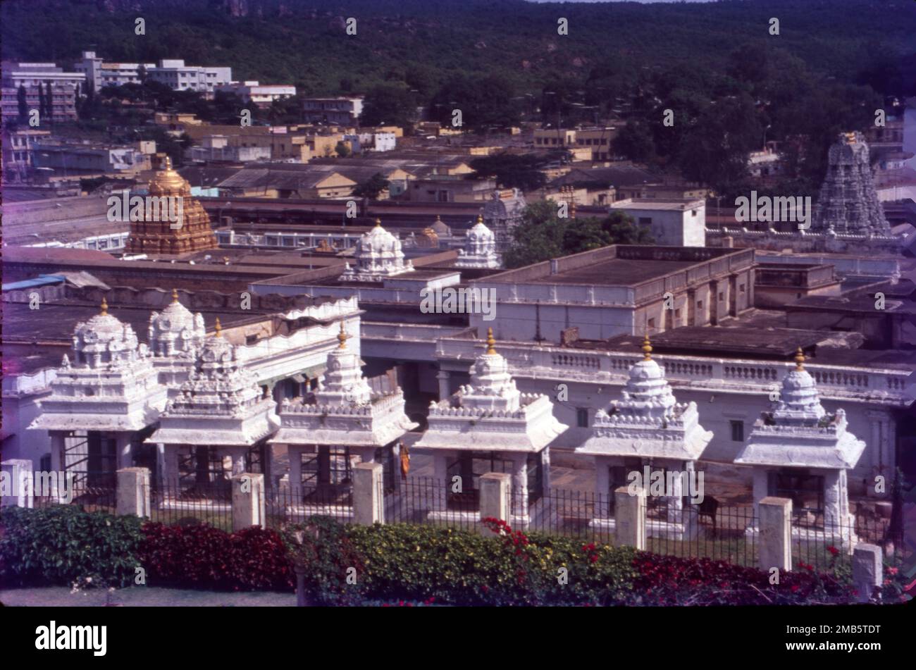 Sri Venkateswara Swami Vaari Temple is a Hindu temple situated in the ...