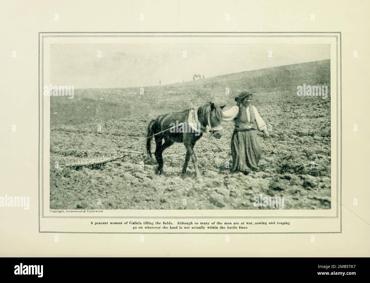 Peasant Woman of Galicia Tilling the Fields from the book The story of ...
