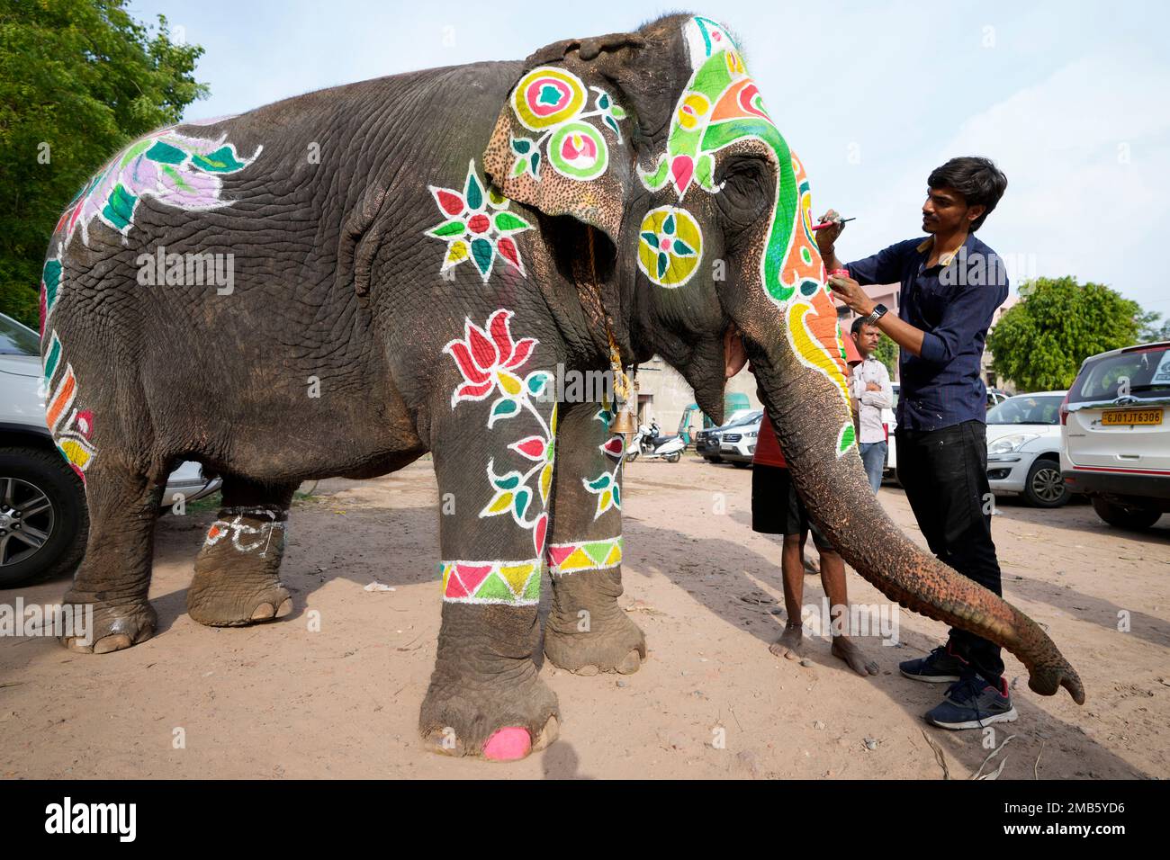 A man paints decorative motifs on an elephant in preparation of the ...